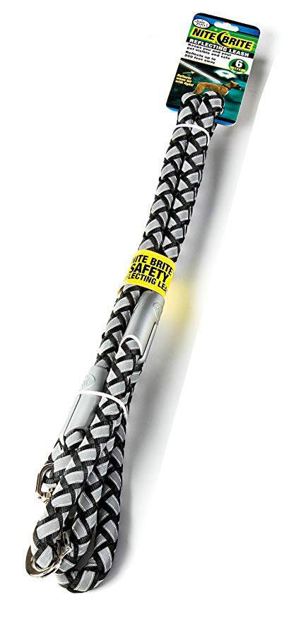 Four Paws® Nite Brite® Reflecting Leashes - Los Angeles, CA - West ...