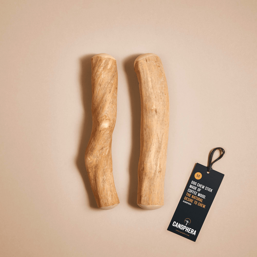 Canophera Coffee Wood Dog Chew Sticks - Los Angeles, CA - West ...